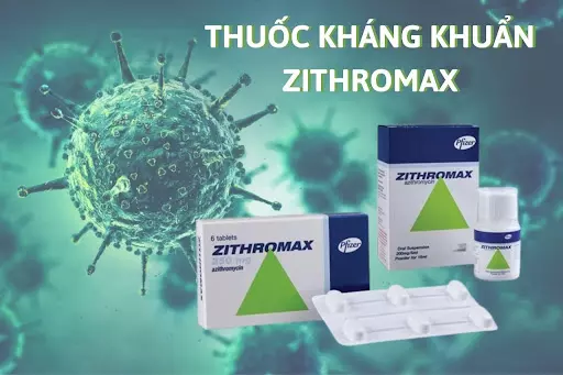 Hướng dẫn sử dụng Zithromax trong điều trị bệnh lý nhiễm khuẩn